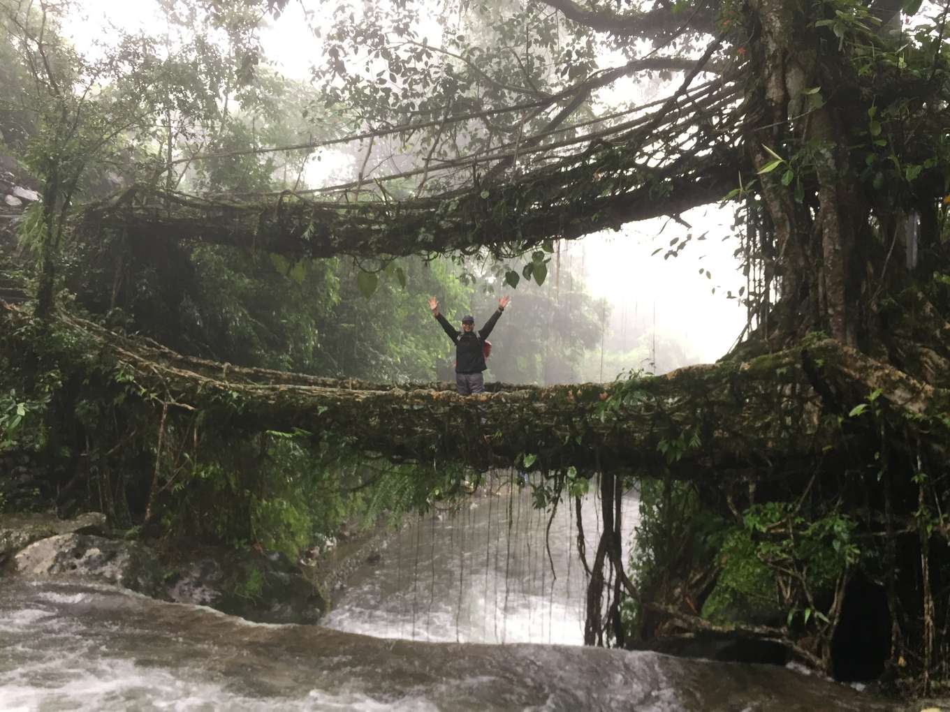 Exploring the Extra-ordinary Double Decker Living Root Bridge - The ...